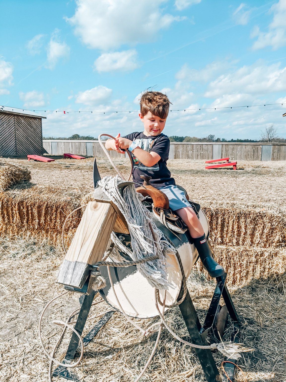 Fun Farm Pumpkin Patch Kearney MO Reviews • COVET by tricia