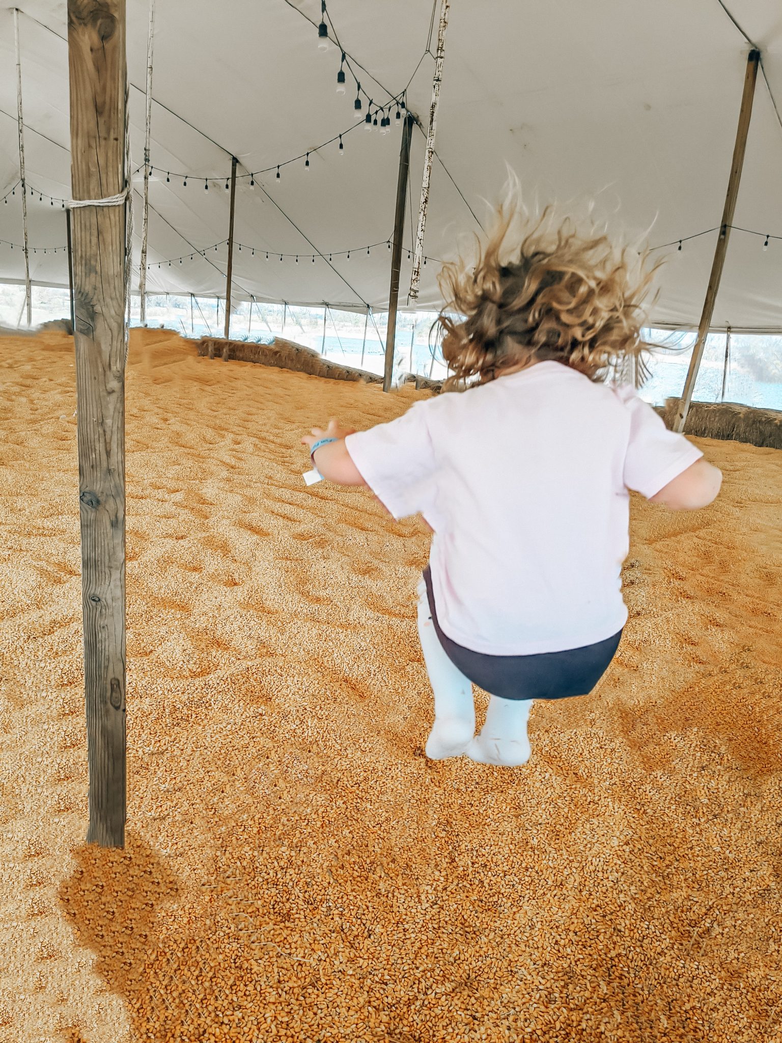 Fun Farm Pumpkin Patch Kearney MO Reviews • COVET by tricia