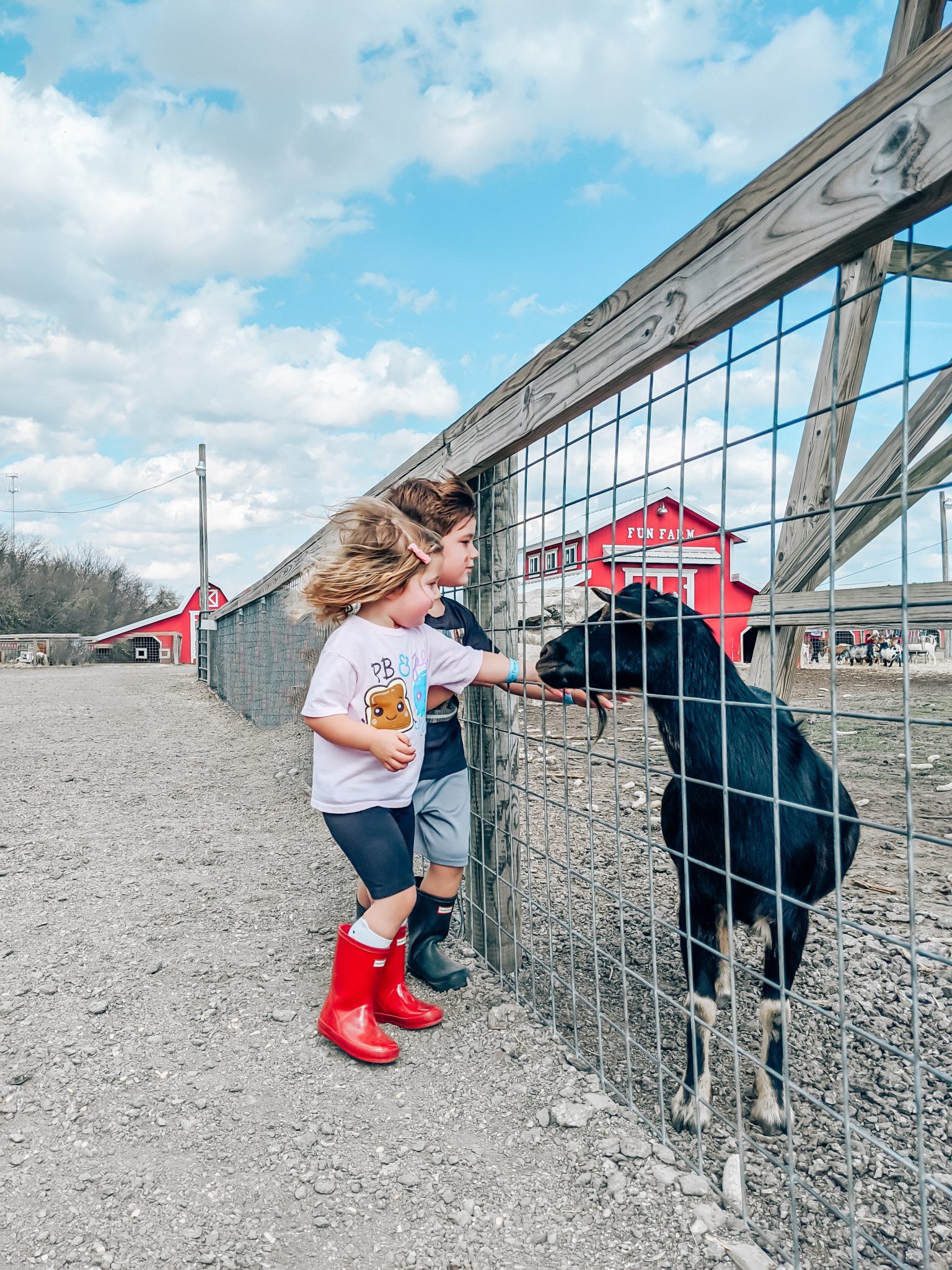 Fun Farm Pumpkin Patch Kearney MO Reviews • COVET by tricia