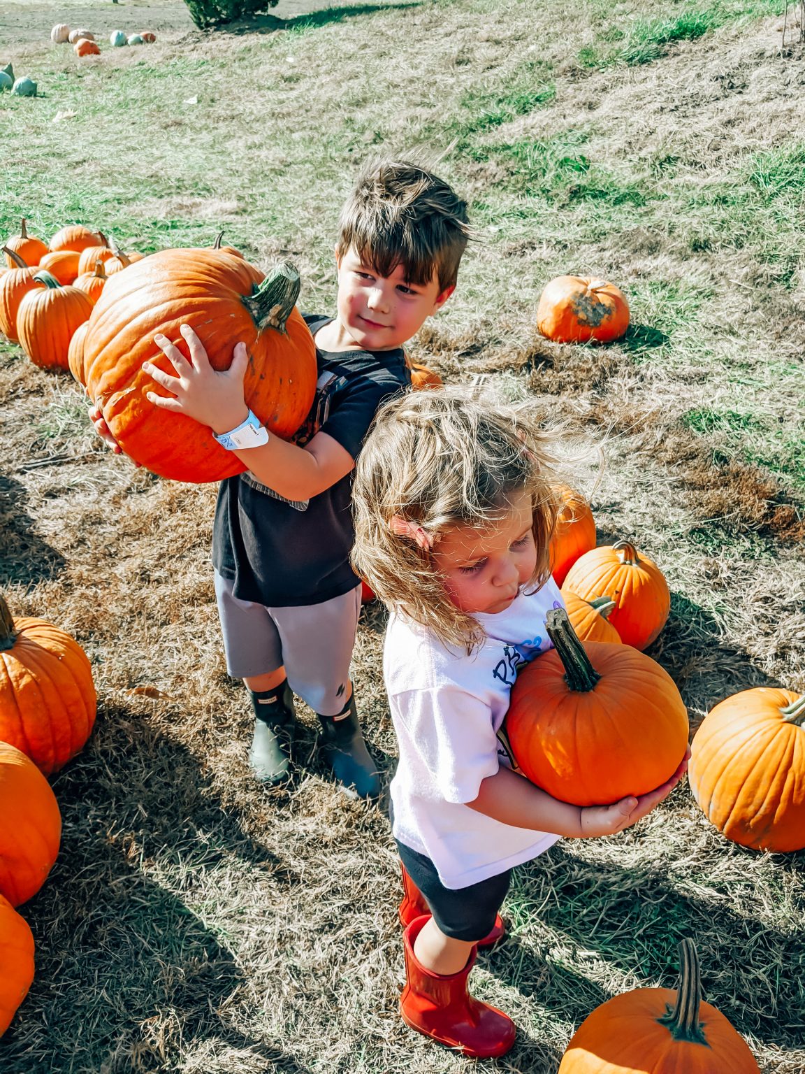 Fun Farm Pumpkin Patch Kearney MO Reviews • COVET by tricia