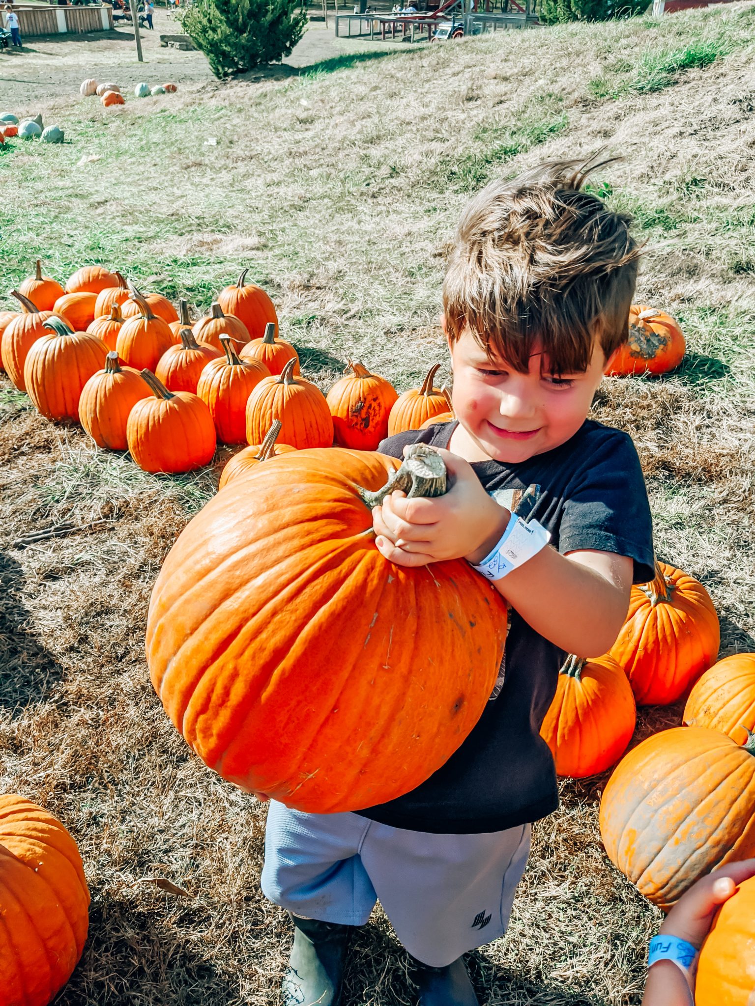 Fun Farm Pumpkin Patch Kearney MO Reviews • COVET by tricia