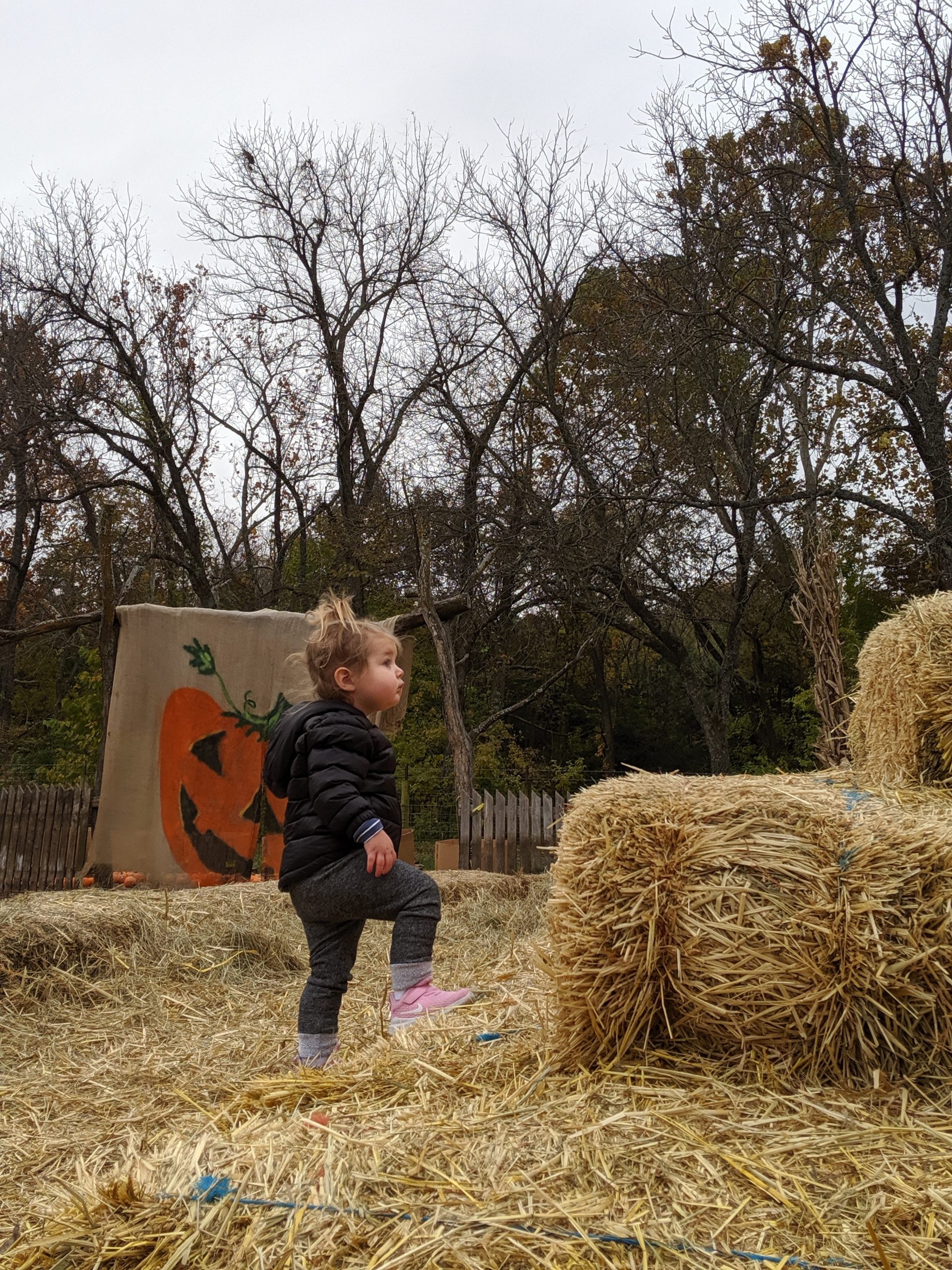 Top 5 Fall Activities in Kansas - Unique Fall Festivals in Kansas ...