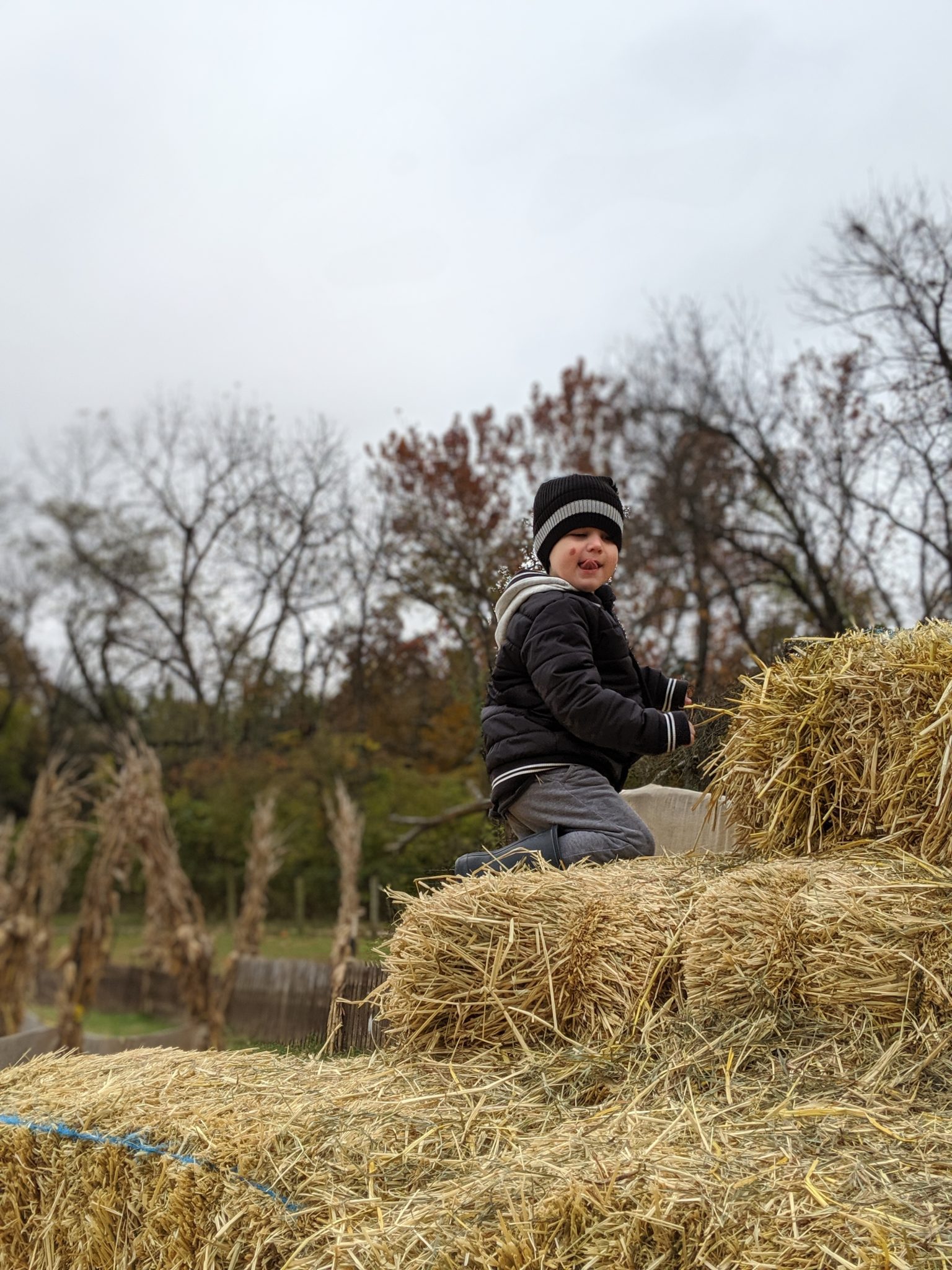 Top 5 Fall Activities in Kansas - Unique Fall Festivals in Kansas ...